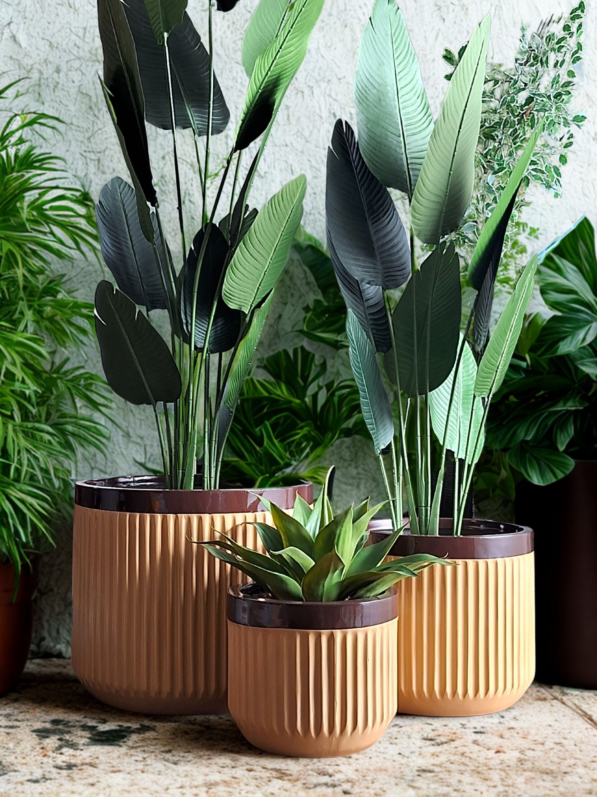 Carino FRP Planter in Bengaluru | Durable & Stylish – Bodhi