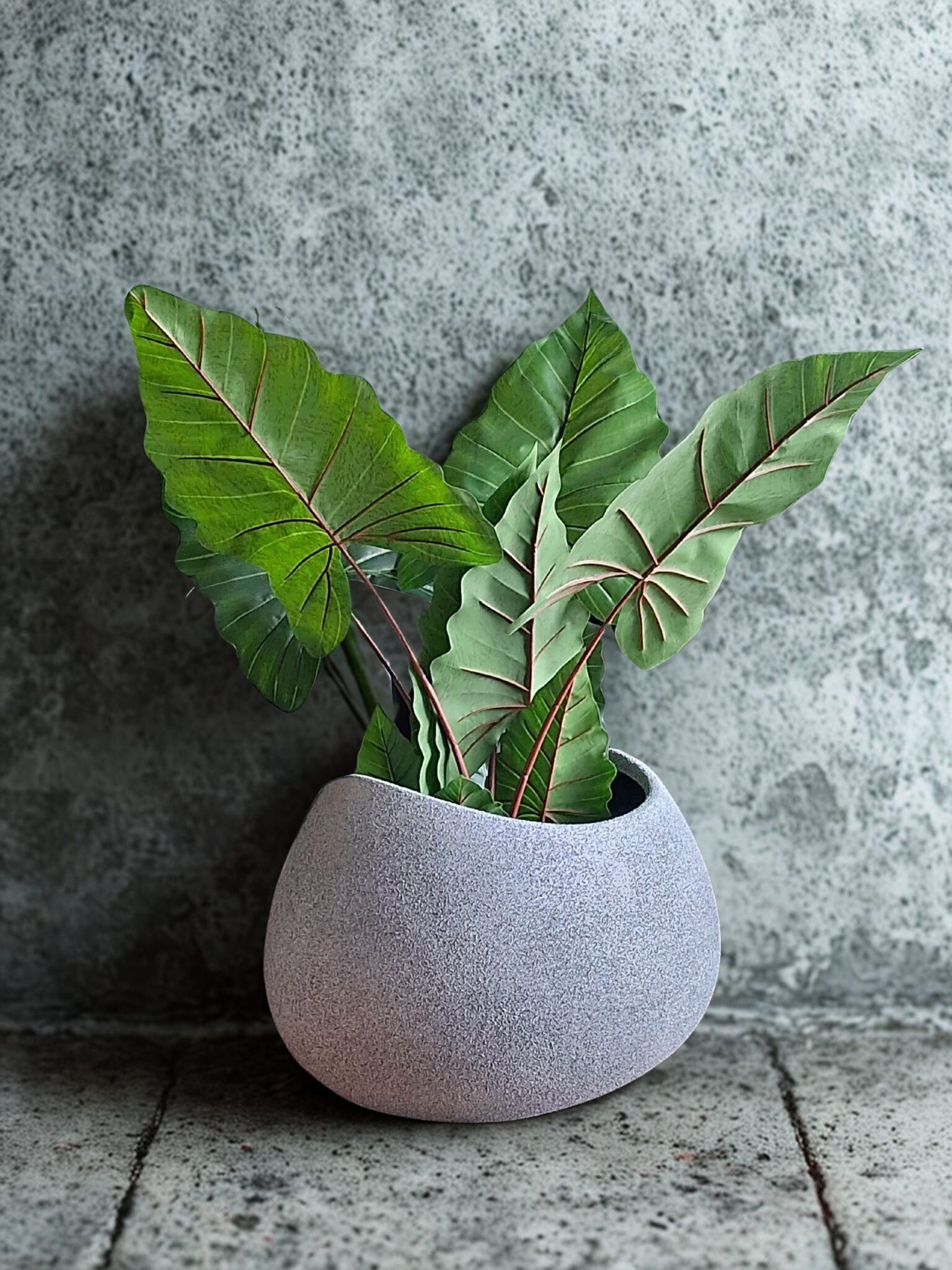 Grano FRP Planter – Rough Finish – Bodhi